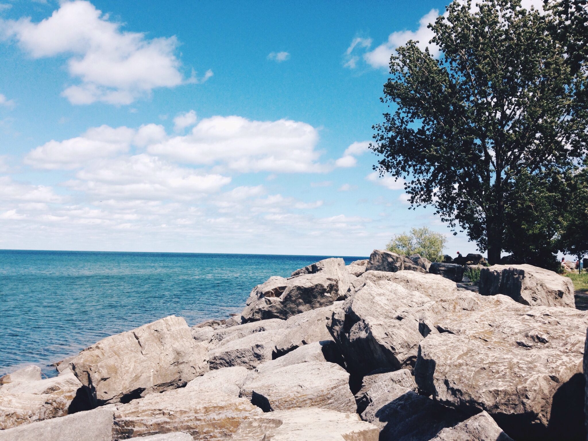 The Top 5 Activities to Do This Summer in Toronto | BAZIS